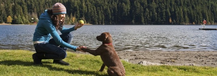 Dog Training 101