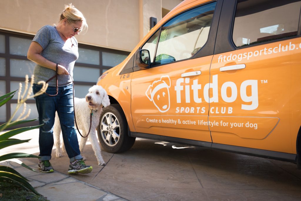 Finding the right training program for your dog | Fitdog Training