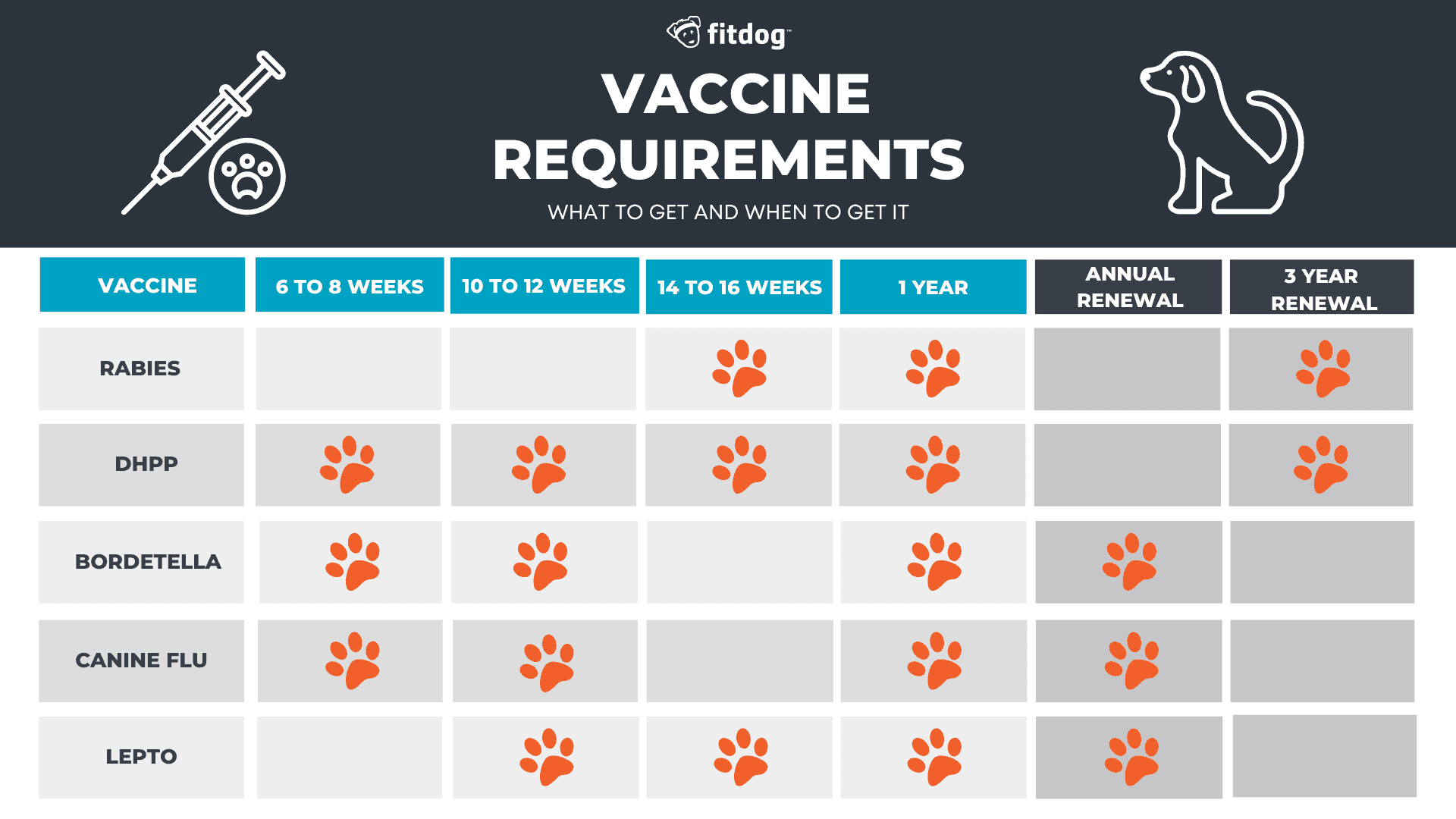 Guide to Common Dog Vaccines | Blog: Off the Leash | Fitdog